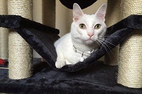 Elite Cat Tree Temple Extreme (Antracite) | LOWEST PRICES GUARANTEED ...