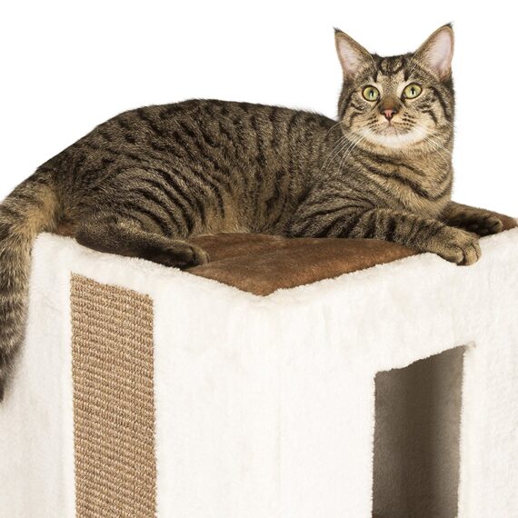 Cat Scratching Barrels | LOWEST PRICES | FREE DELIVERY