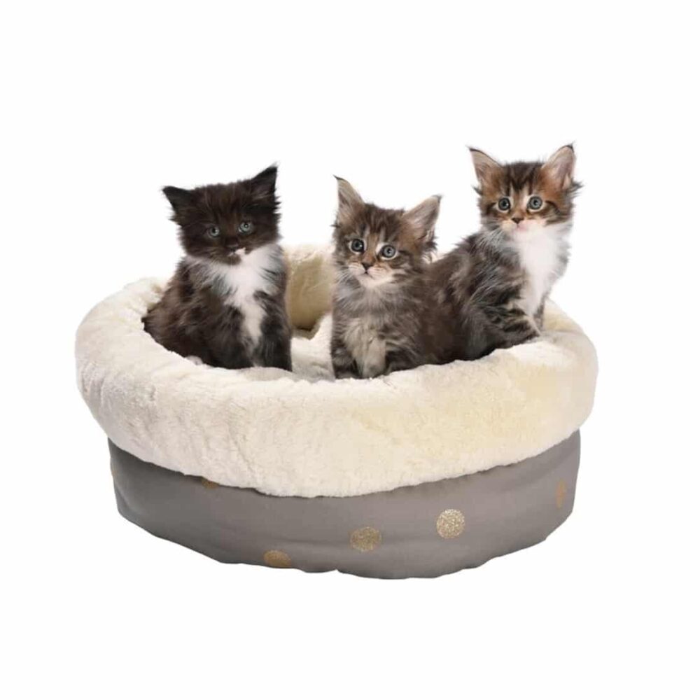 Cat Bedding | FREE DELIVERY & LOWEST PRICES GUARANTEED