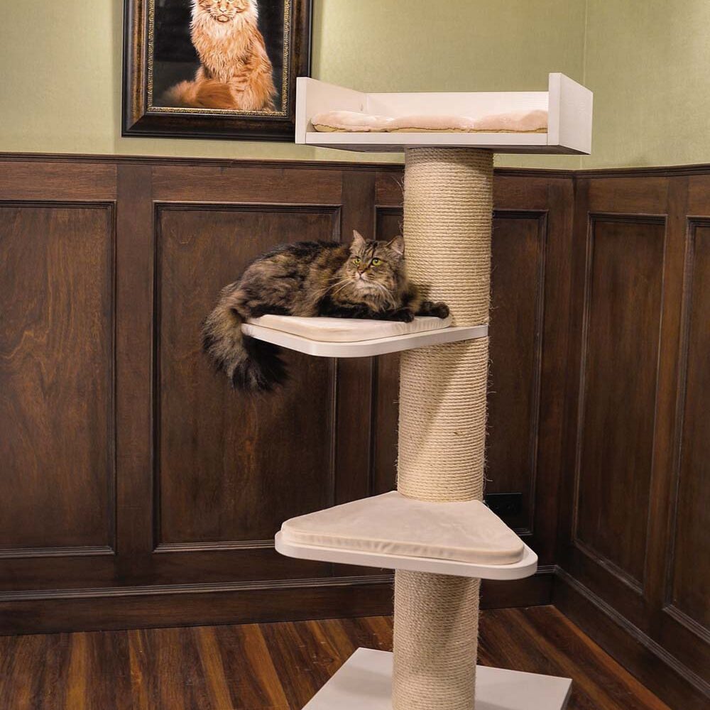 XXL Maine Coon Cat Trees | FAST & FREE DELIVERY & LOWEST PRICE