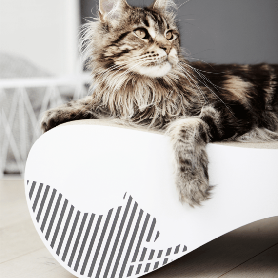 Cat Trees | LOWEST PRICES GUARANTEED | FREE DELIVERY