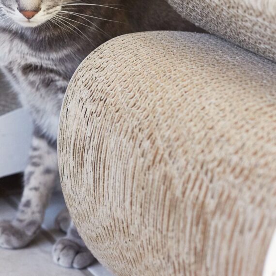Cat Trees | LOWEST PRICES GUARANTEED | FREE DELIVERY