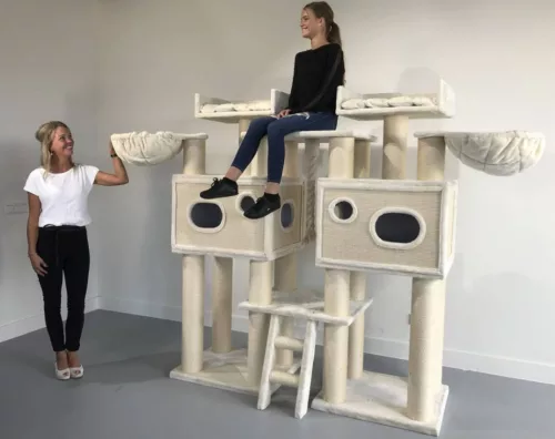 The Royal Cat Palace | LOWEST PRICES GUARANTEED | FREE DELIVERY