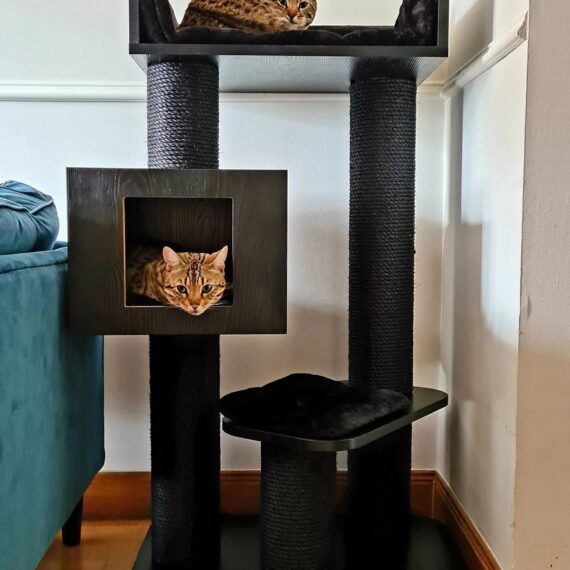 Bold Paw - Cat Tree UK