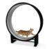Exercise Wheels - Cat Tree UK