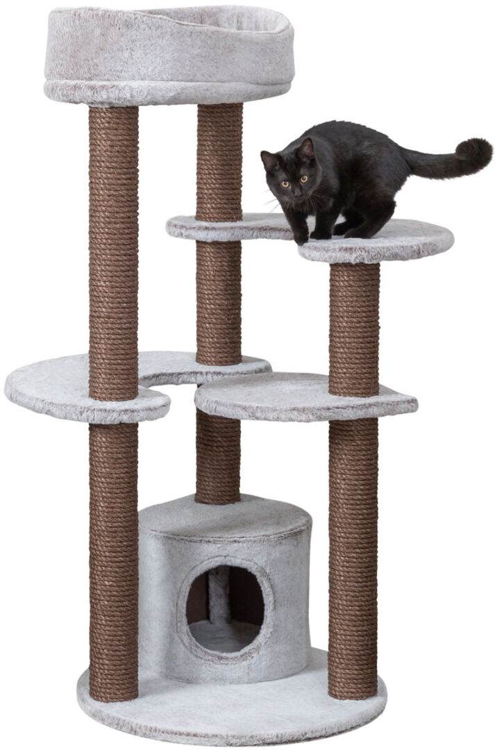 Cat Tree Afonso | LOWEST PRICES GUARANTEED | FREE DELIVERY